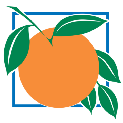 Orange County Recovery Program: Assistance After Hurricane Ian